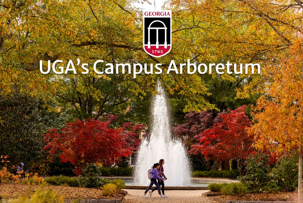 UGA Campus Arboretum - Living Lab Project - UGA Sustainability